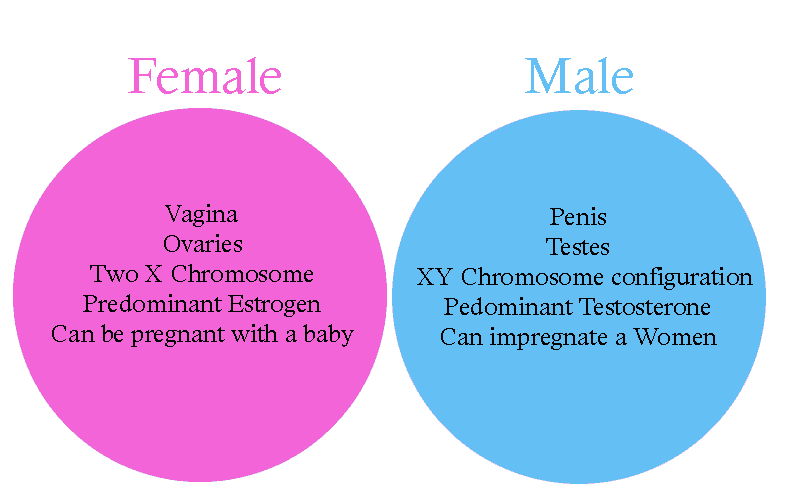 Understanding Identity: A Guide to Pansexuality & Gender Roles
