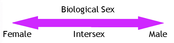 Understanding Identity: A Guide to Pansexuality & Gender Roles